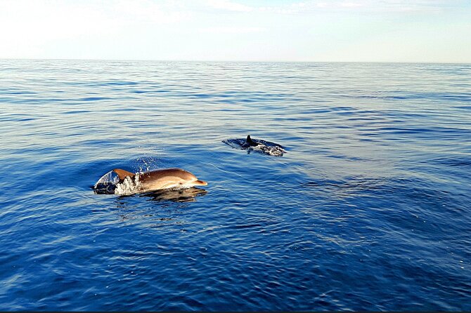 Taormina Sunset Aperitif On-Board - Activities on Board: Swimming and Snorkeling