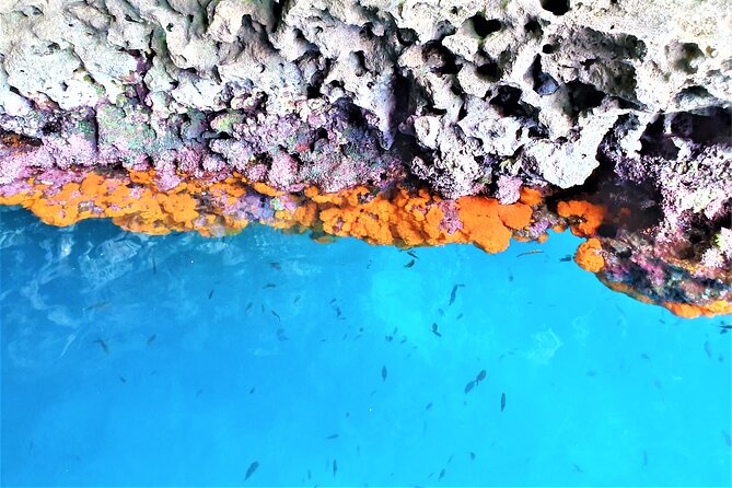 Taormina Sunset Aperitif On-Board - Safety Measures and Accessibility