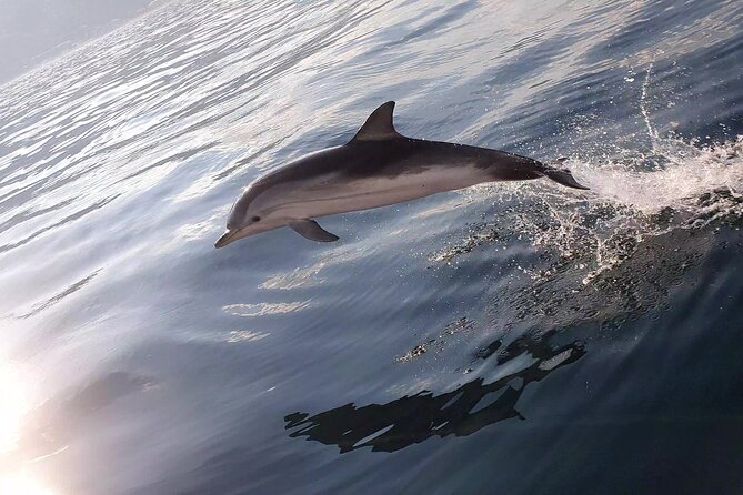 Taormina Sunset Aperitif On-Board - Guest Reviews and Feedback