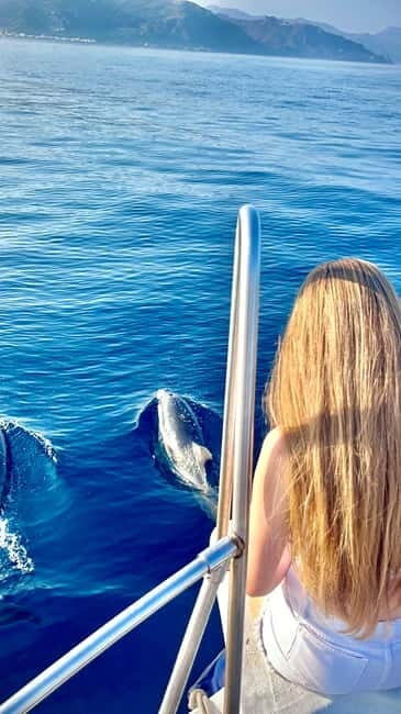 Taormina:Sunset Boat Tour with Aperitif and Dolphin Watching - Dolphin Watching — A Touch of Nature’s Wonder
