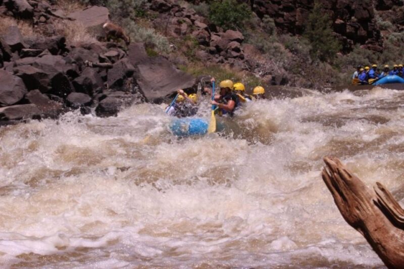 Taos/Santa Fe: Rio Grande Class IV "Taos Box" Rafting - Practical Tips for Your Rafting Day