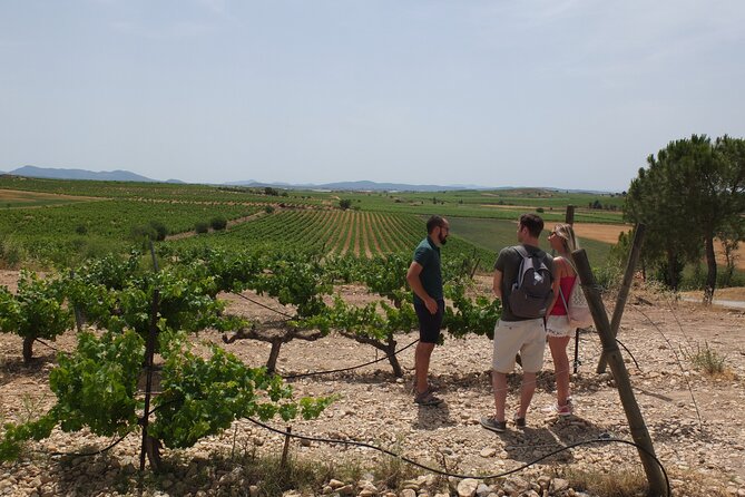Tapas in the Vineyards (Private Tour) - Personalized Attention to Dietary Needs