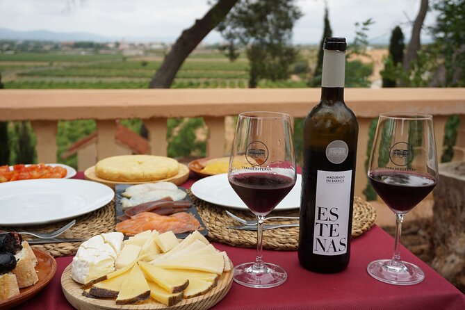 Tapas in the Vineyards (Private Tour) - Guest Experiences and Testimonials