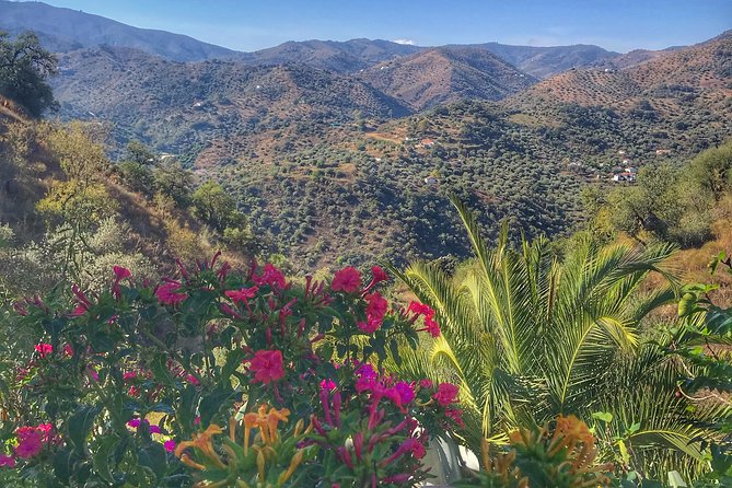 Tapas & Sherry an Andalucian Gourmet Experience. - Practical Tips for Future Participants