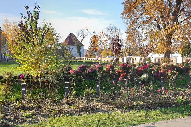 Targu Mures 3 hours walking tour - Authentic Experiences and Local Insights