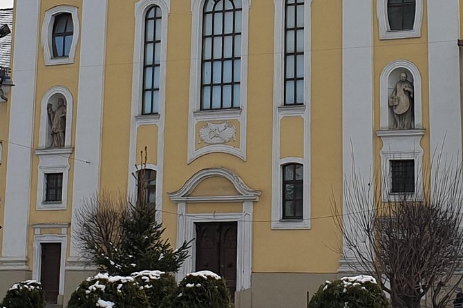 Targu Mures 3 hours walking tour - Practical Details That Matter