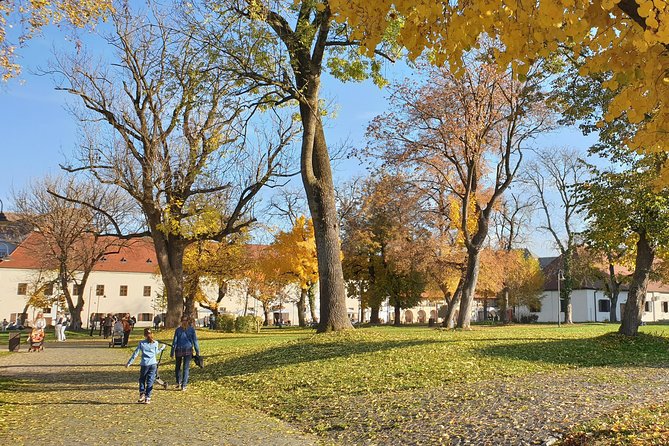 Targu Mures 3 hours walking tour - FAQ