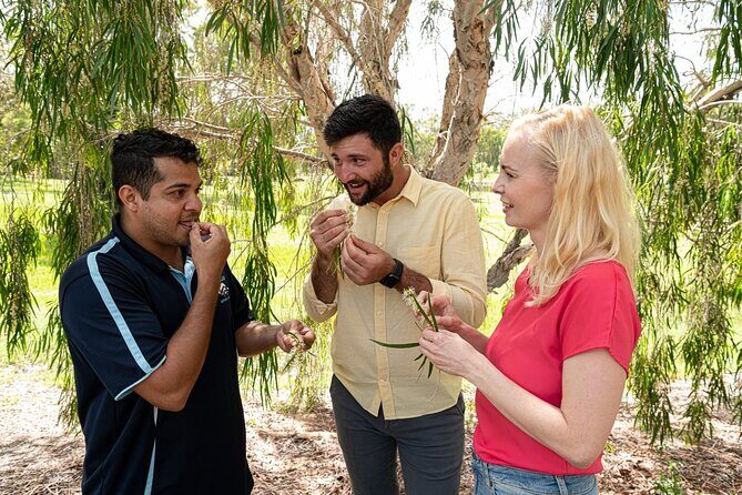Taribelang Bunda Cultural Tours - An In-Depth Look at the Experience
