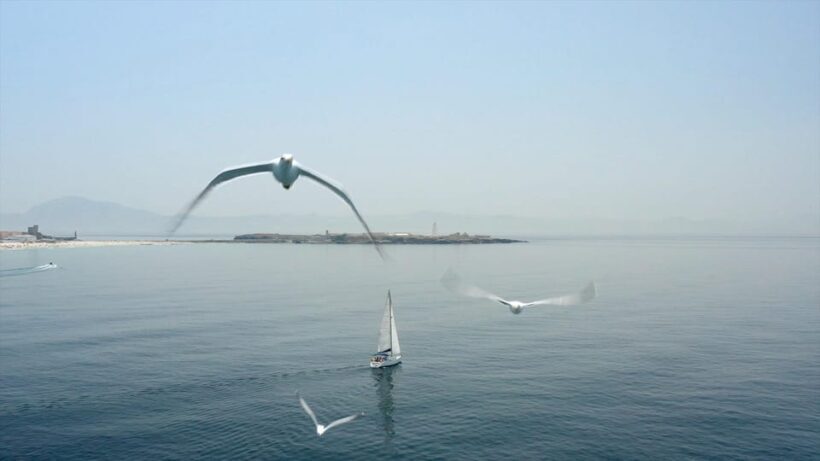 Tarifa: Sailboat Tour, Snorkelling, Tapas & Drinks - Who Will Love This Experience?
