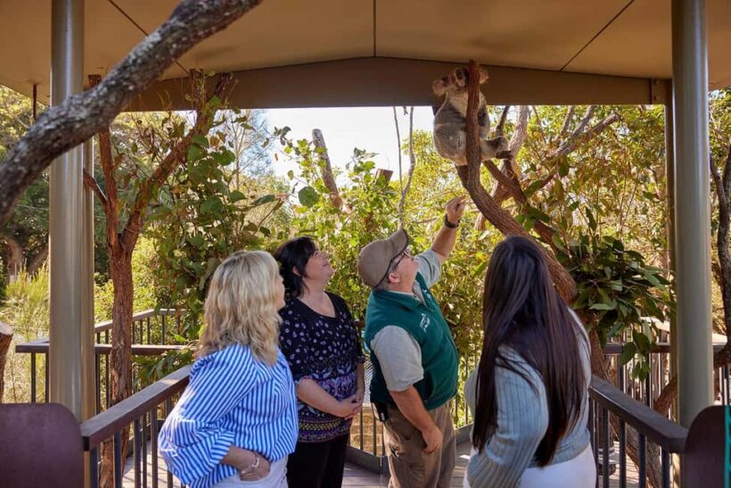 Taronga Zoo Sydney Wild Australia Experience - The Guides: Knowledgeable and Passionate