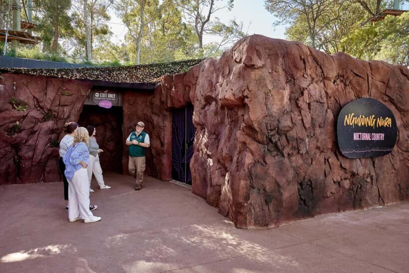 Taronga Zoo Sydney Wild Australia Experience - Practical Tips for Visitors