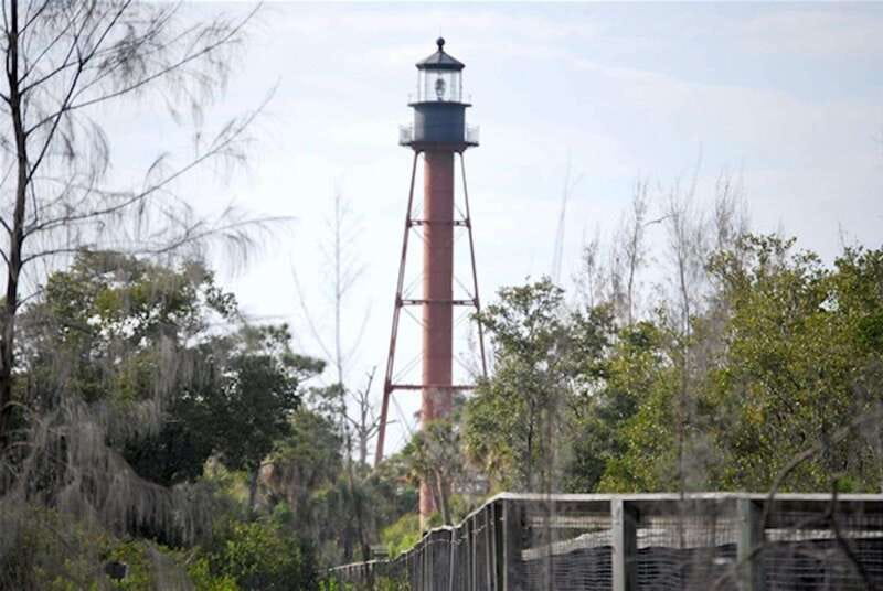 Tarpon Springs: Evening Dolphin Cruise - The Itinerary: What the Tour Looks Like