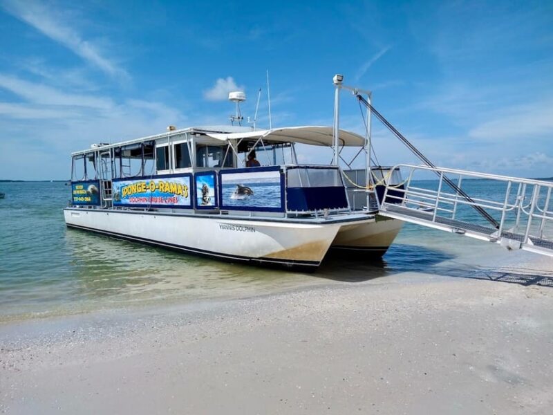 Tarpon Springs: Evening Dolphin Cruise - Practical Details and Considerations