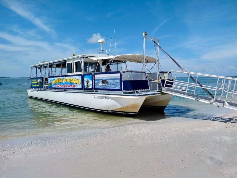 Tarpon Springs: Evening Dolphin Cruise - What Travelers Say