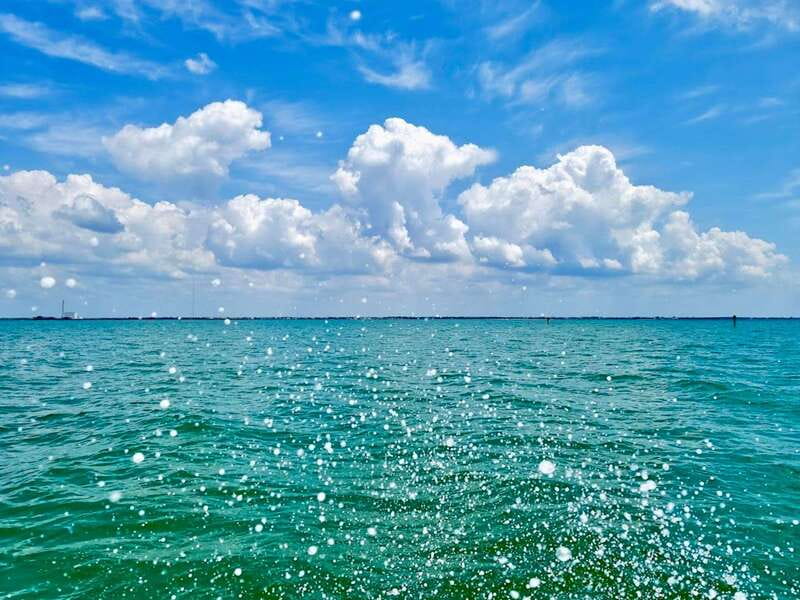 Tarpon Springs: Evening Dolphin Cruise - The Sum Up