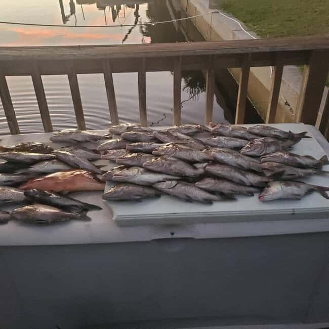 Tarpon Springs: Private Guided Gulf of Mexico Fishing Tour - Key Points