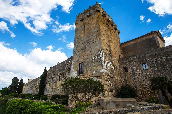 Tarragona Private Tour With Hotel Pick up - Traveler Testimonials and Recommendations