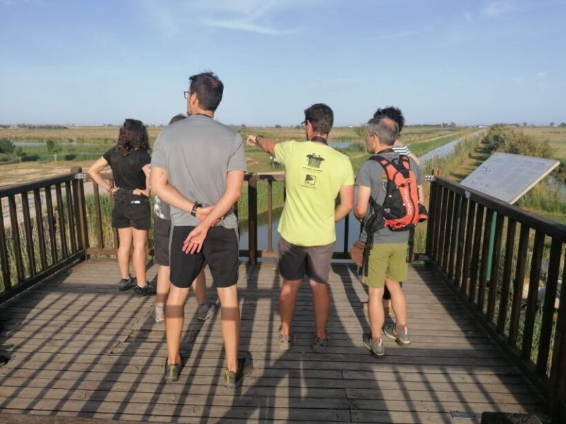 Tarragona: Southern Delta Birdwatching Private Tour - Tarragona: Southern Delta Birdwatching Private Tour — An Authentic Experience in Catalonia