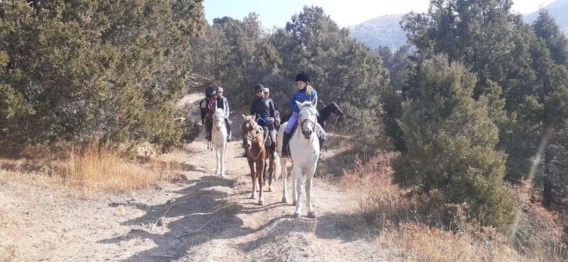 Tashkent: 3-Day Horseback Riding Tour in Chimgan Mountains - Overview of the Itinerary