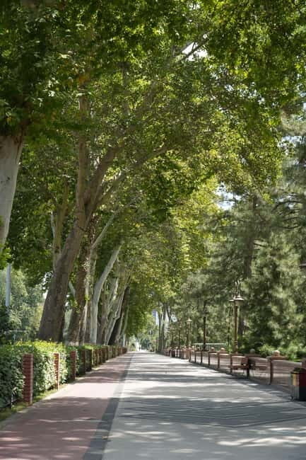 Tashkent: Culture, History and Photography Guided Tour - The Sum Up