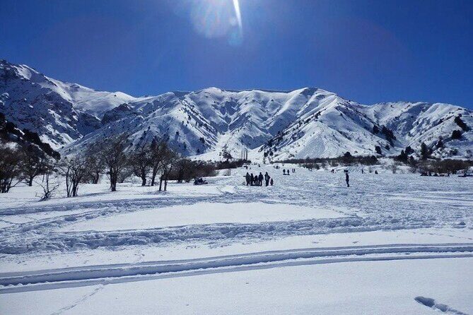 Tashkent Mountain Tour Amirsoy with Transport - Who Is This Tour Best For?