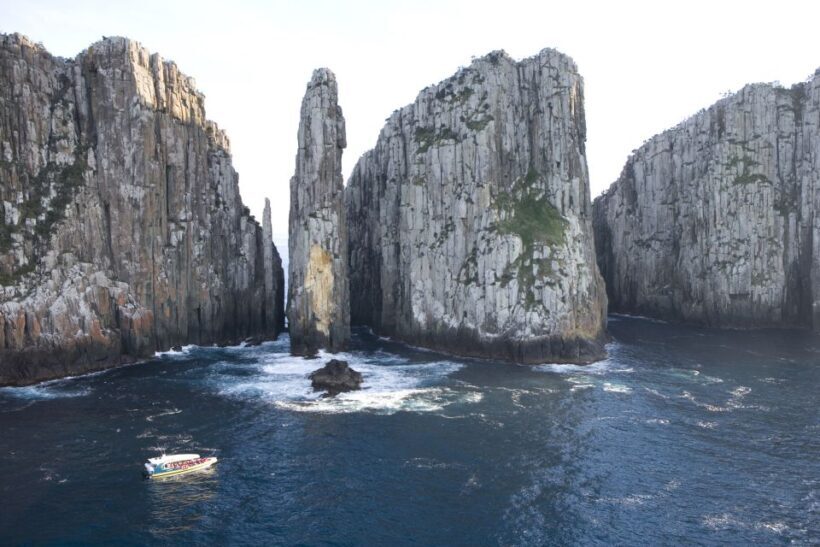 Tasman Peninsula Day Trip with Cruise & Devils from Hobart - Discovering Tasmania’s Unique Wildlife