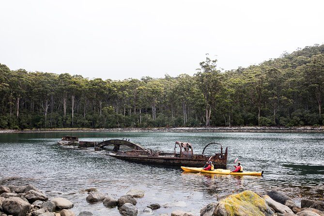 Tasman Peninsula full day kayaking tour - Overview of the Experience
