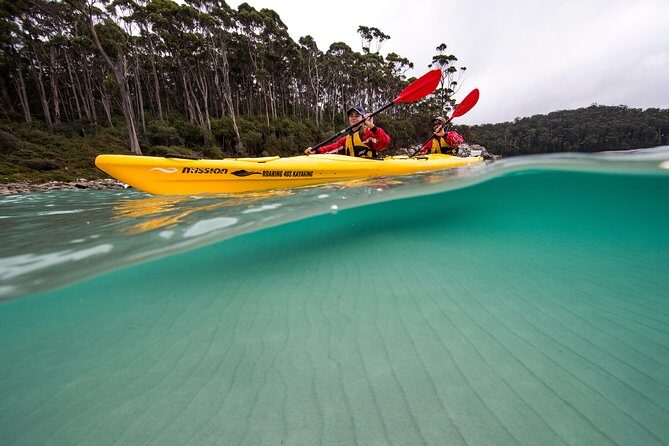 Tasman Peninsula full day kayaking tour - Gourmet Lunch and Rest Stops