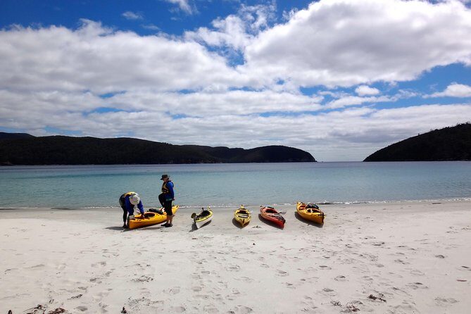 Tasman Peninsula full day kayaking tour - Reviews and Authentic Perspectives