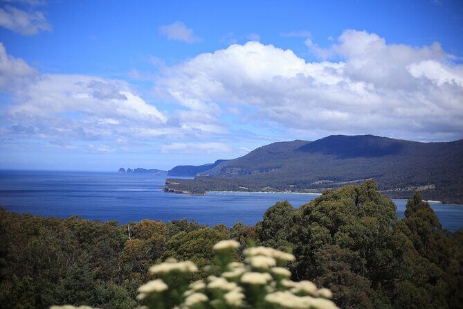 Tasman Peninsula Small-Group Guided Tour From Hobart - Transportation, Group Size, and Value