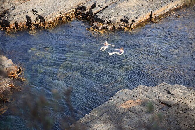 Tasman Peninsula Small-Group Guided Tour From Hobart - Who Should Consider This Tour?