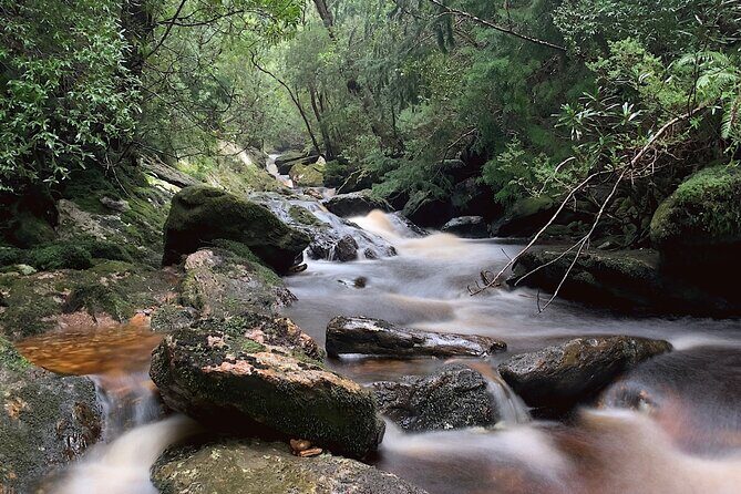 Tasmania 8 Day - Tour in Circle - FAQs