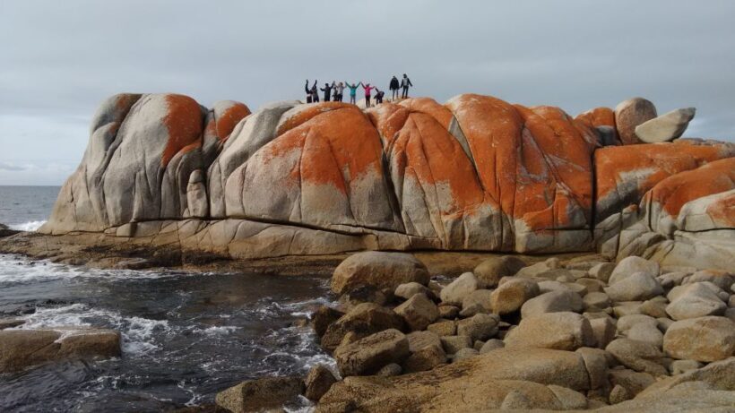 Tasmania: Wilderness and Wildlife Guided 6-Day Tour - Who Will Love This Experience?