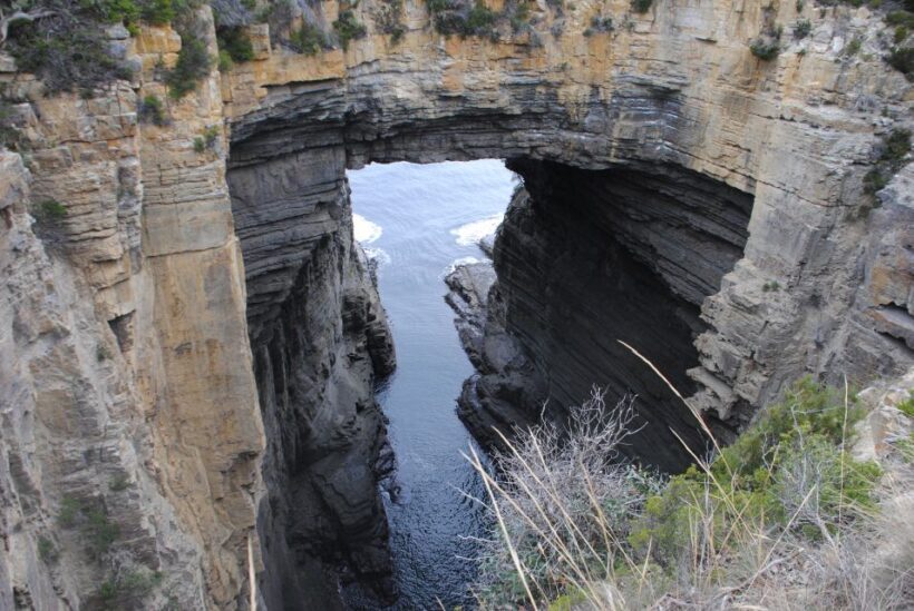 Tasmania: Wilderness and Wildlife Guided 6-Day Tour - Final Thoughts