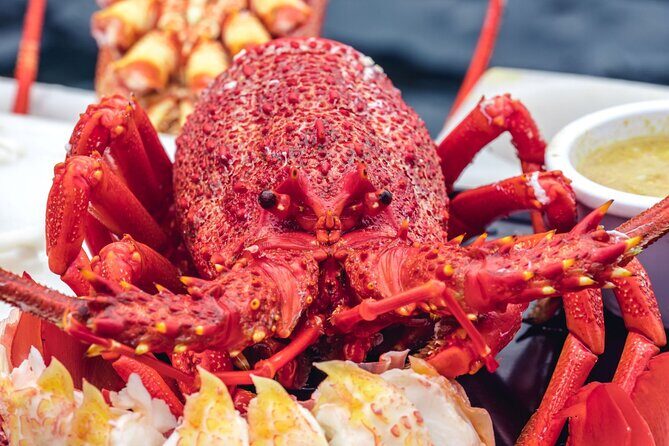 Tasmanian Seafood Gourmet Full-Day Cruise Including Lunch - FAQ