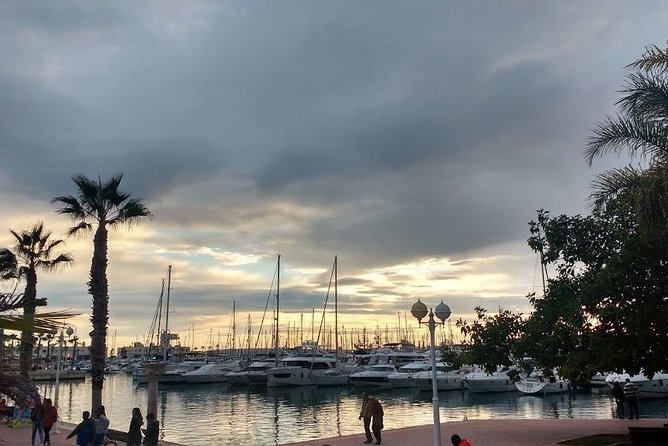 Taste Alicante Guided Tour - Accessibility and Additional Info