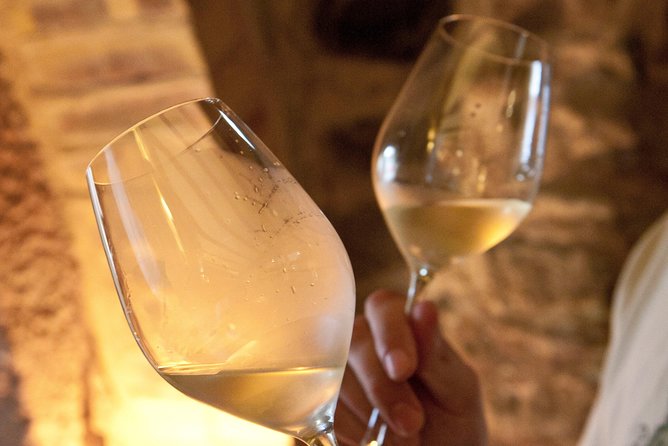 Taste Alsace: Tasting of our Alsace wines - No cellar tour - Key Points