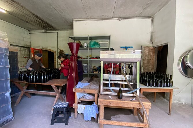 Taste and Tour Small Organic Wineries With a Winemaker - Winemaker Interactions and Insights