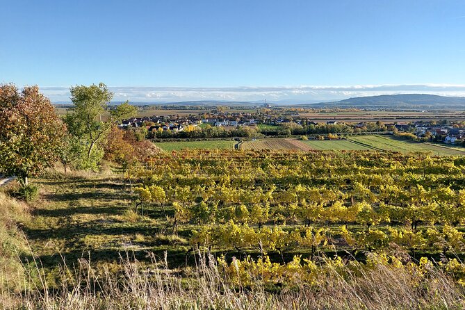 Taste and Tour Small Organic Wineries With a Winemaker - Tour Availability and Accessibility