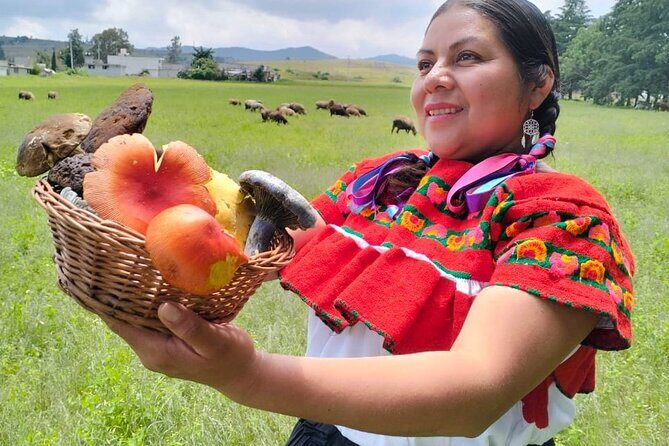 Taste and Tradition Acaxochitlán Culinary Tour from Mexico City - Key Points