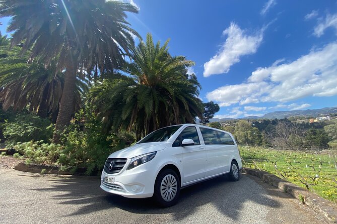 Taste Gran Canaria's unique wines - An In-Depth Look at the Gran Canaria Wine Tour