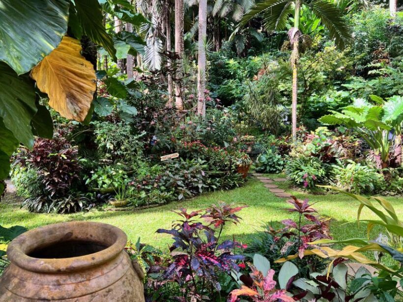 Taste of Barbados - In summary, the Taste of Barbados tour strikes a good balance between fun, education, and scenic beauty, making it a popular choice for those seeking a memorable island overview.