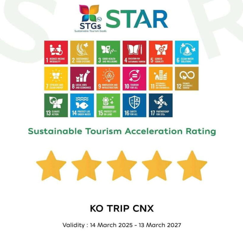 Taste of Chiang Mai: Michelin Guide Street Food Tour - The Itinerary Breakdown