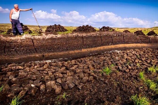 Taste of Connemara Tour by Electric Fat Tyre Bike - Choosing the Right Tour