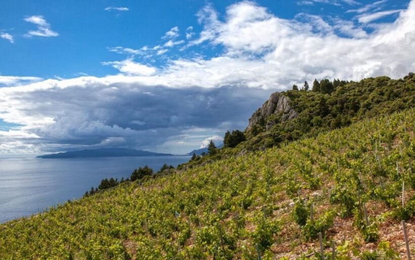 Taste of Dubrovnik and Ston - Day Trip from Dubrovnik - Key Points