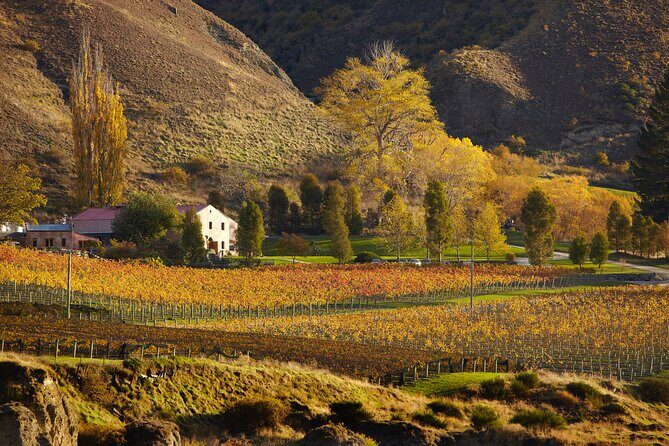 Taste of Gibbston private Wine Tour from Queenstown and return. - Final Thoughts