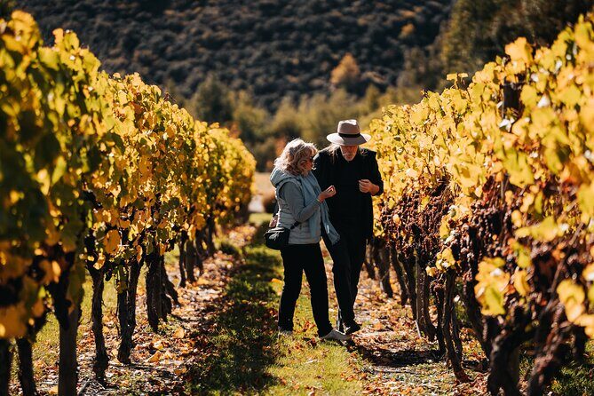 Taste of Gibbston private Wine Tour from Queenstown and return. - FAQs