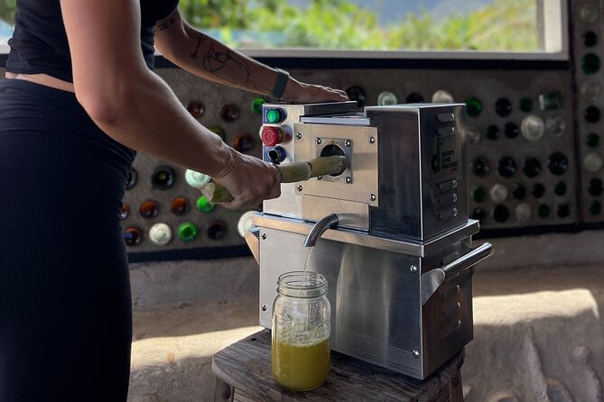 Taste of Hawaii: A Maui Farm Tour - What to Expect During the Tour