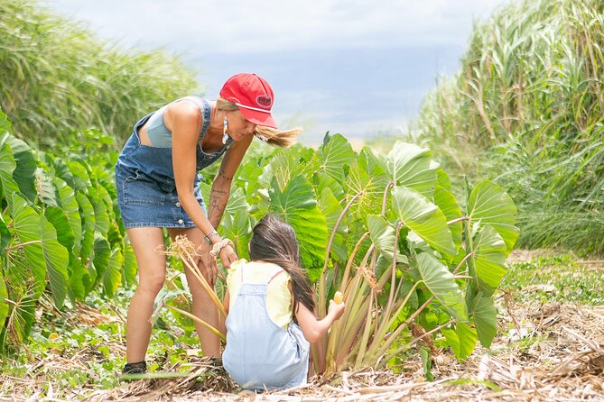 Taste of Hawaii: A Maui Farm Tour - Delicious Farm-to-Table Experiences