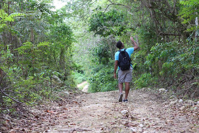 Taste of Jamaica Farm Cookout - FAQ